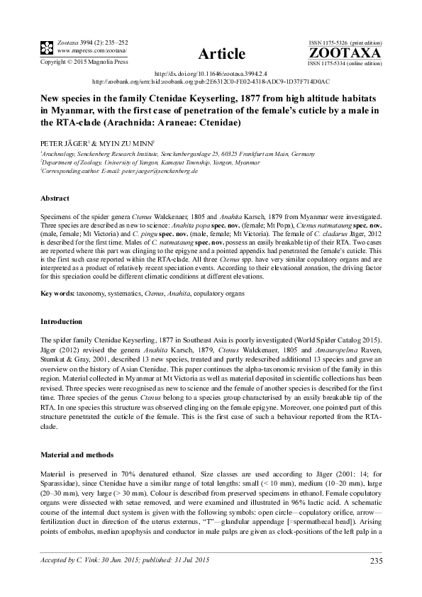 (PDF) RTA-clade ( Arachnida : Araneae : Ctenidae )