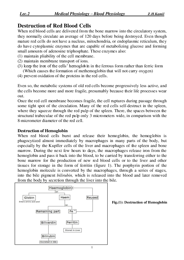 (PDF) Destruction of Red Blood Cells