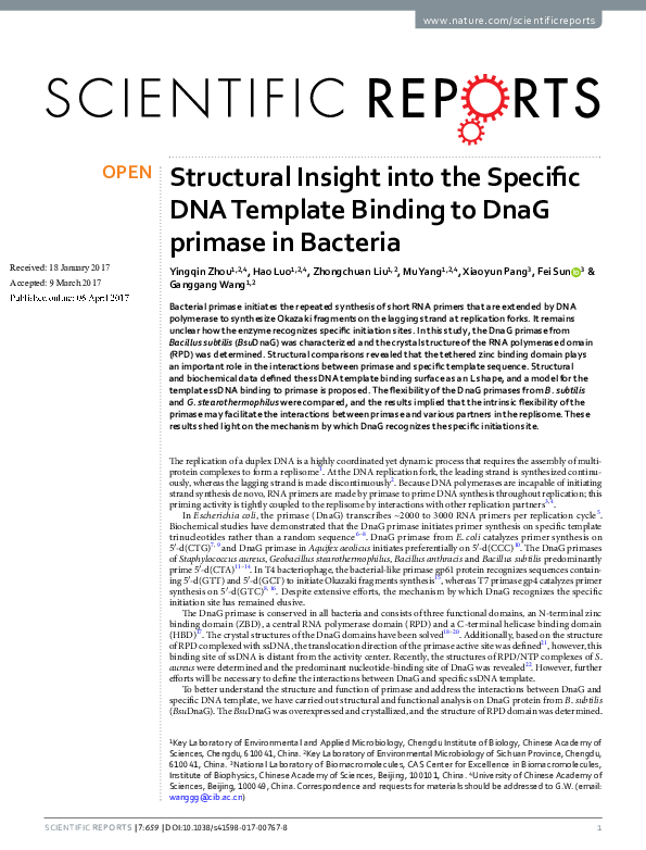 (PDF) DnaG Primase-DNA Binding Insights in Bacteria