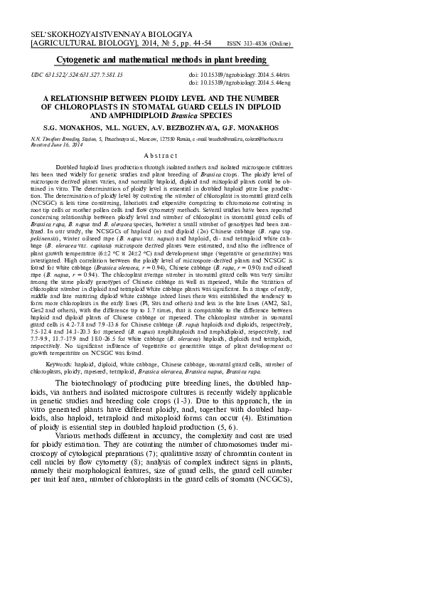 (PDF) Influence of rapid thermal nitridation process in N2O ambient on ...