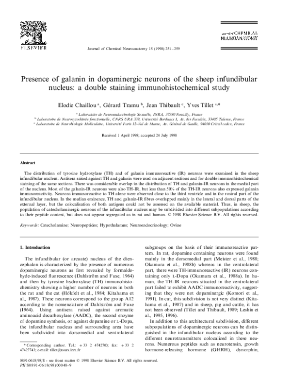 (PDF) Galanin and Dopaminergic Neurons in Sheep Infundibular Nucleus