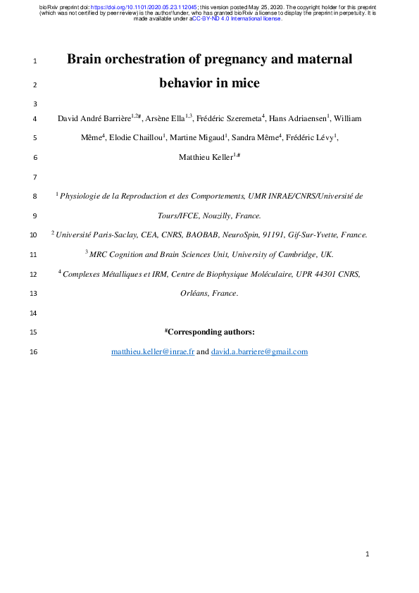 (PDF) Maternal Brain Changes During Pregnancy in Mice