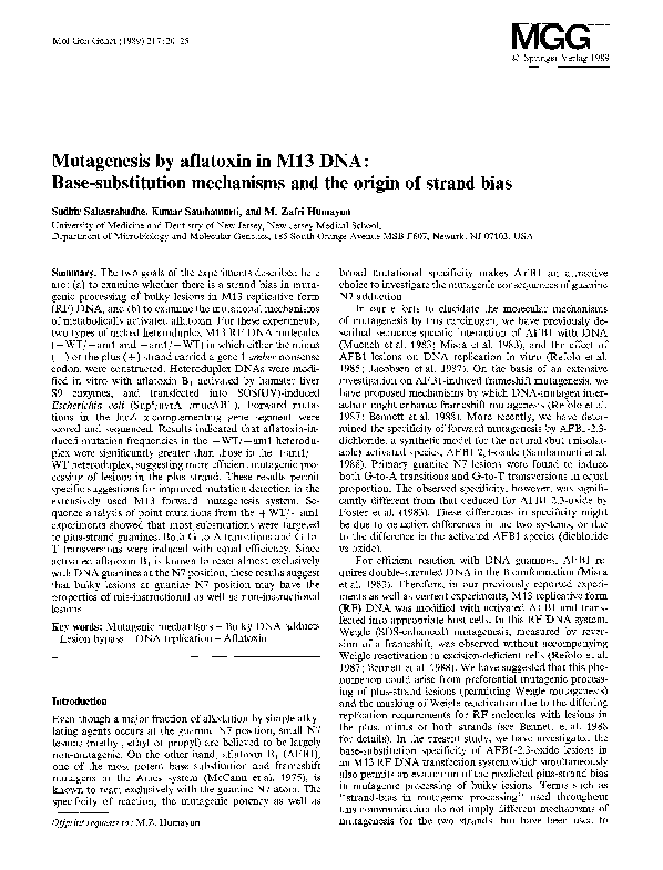(PDF) Mutagenesis by aflatoxin in M13 DNA: Base-substitution mechanisms ...