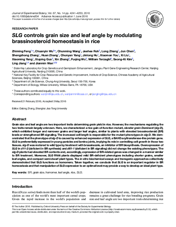 (PDF) SLG controls grain size and leaf angle by modulating ...