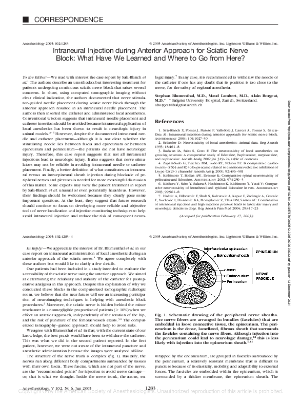 (PDF) Intraneural Injection during Anterior Approach for Sciatic Nerve ...