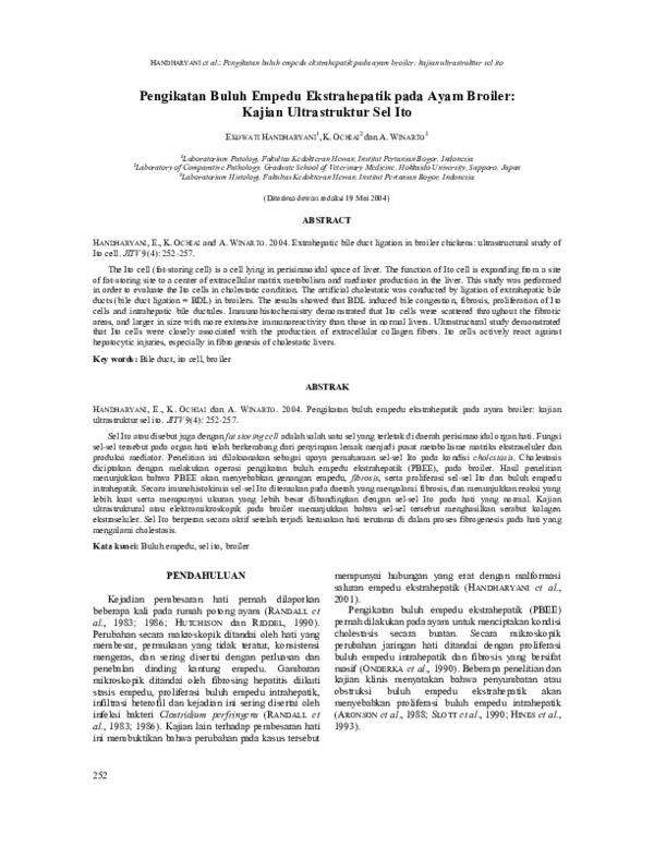 (PDF) Pengikatan Buluh Empedu Ekstrahepatik pada Ayam Broiler: Kajian ...