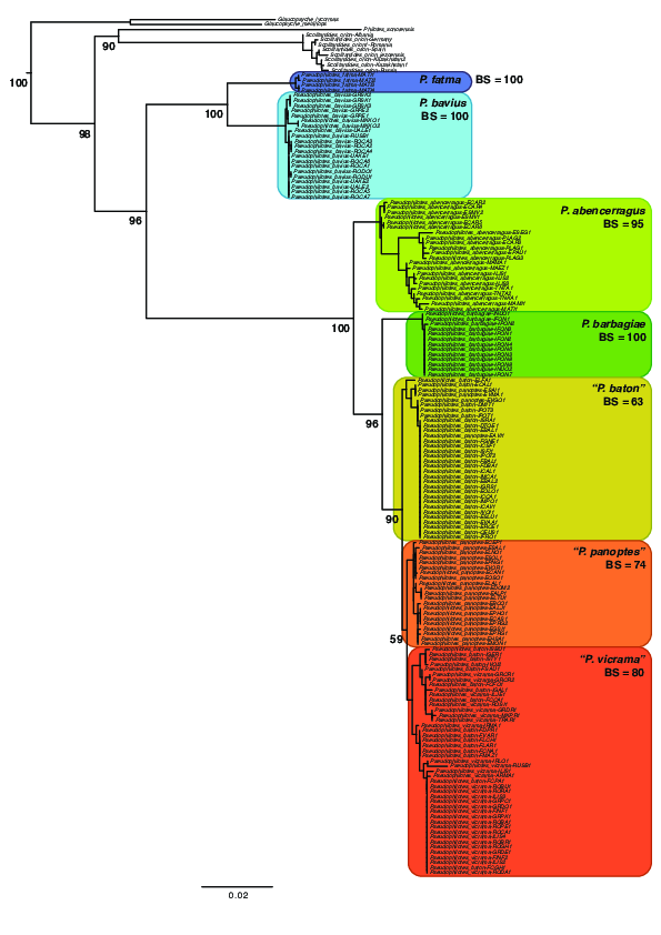 (PDF) Additional file 3: of Molecular phylogeny of the Palaearctic ...