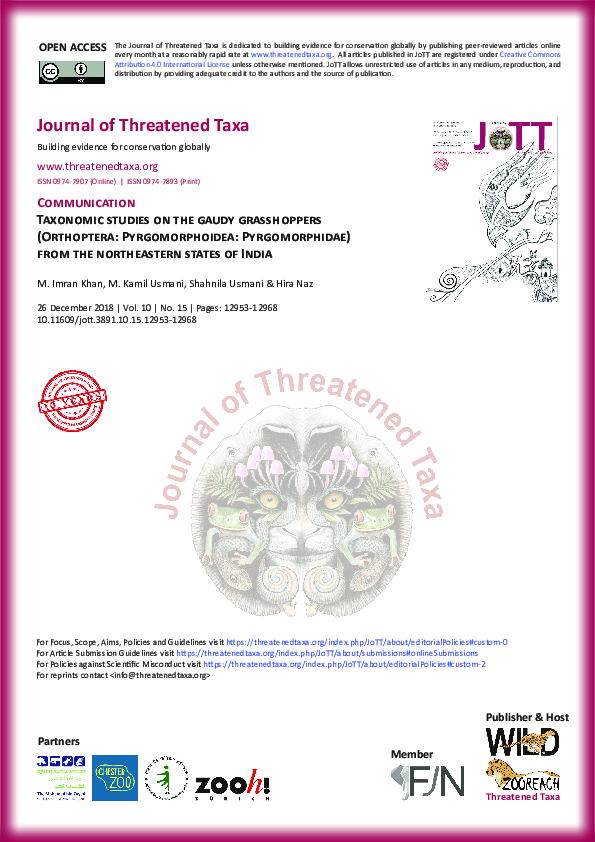 (PDF) Taxonomic studies on the gaudy grasshoppers (Orthoptera ...