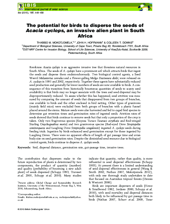(PDF) The potential for birds to disperse the seeds of Acacia cyclops ...