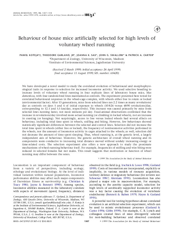 (PDF) Behaviour of house mice artificially selected for high levels of ...