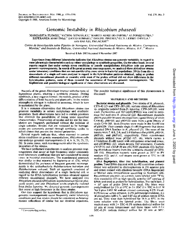 (PDF) Genomic instability in Rhizobium phaseoli | Alfonso Leija ...