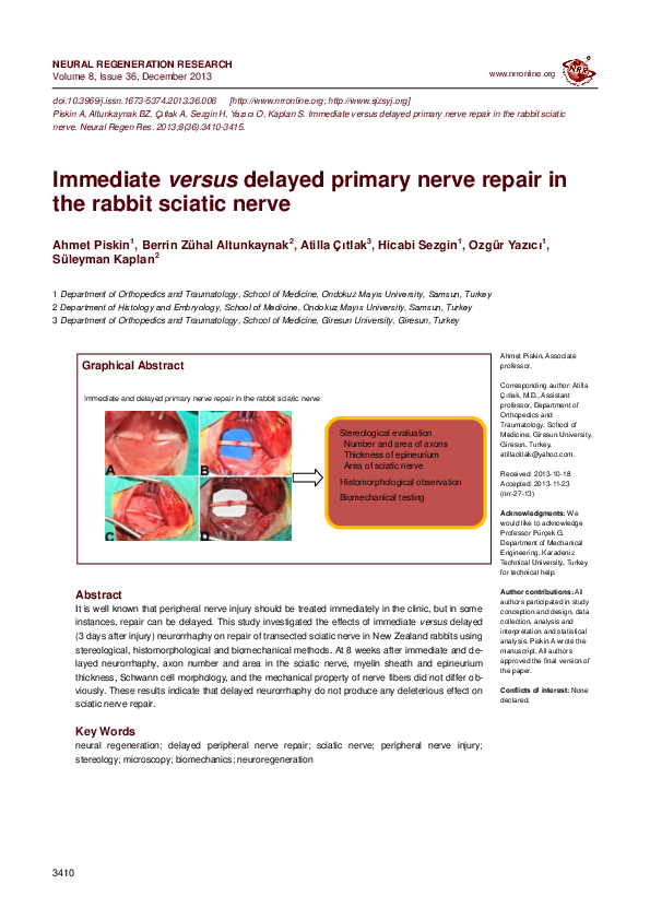 (PDF) Immediate versus delayed primary nerve repair in the rabbit ...