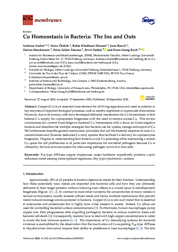 (PDF) Cu Homeostasis in Bacteria: The Ins and Outs