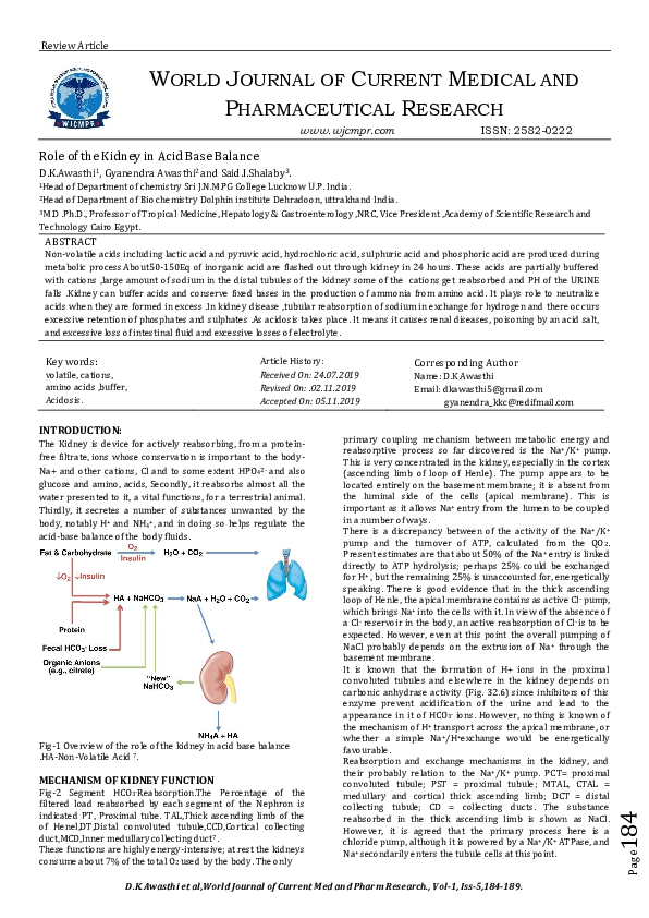 (PDF) Role of the Kidney in Acid Base Balance