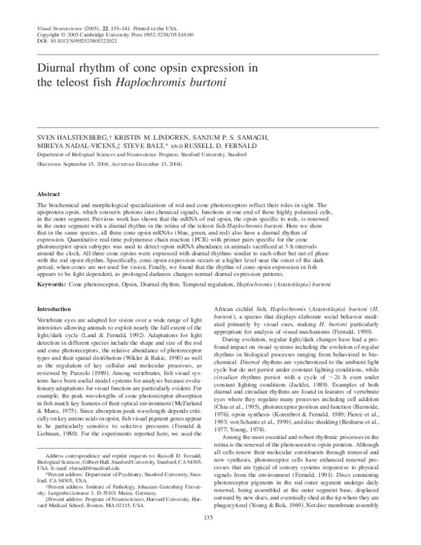 (PDF) The Teleost Fish