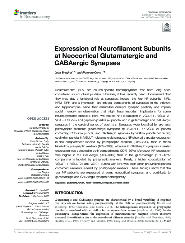(PDF) Expression of Neurofilament Subunits at Neocortical Glutamatergic ...