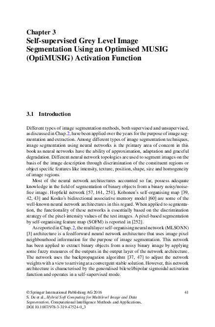 (PDF) Self-supervised Grey Level Image Segmentation Using an Optimised MUSIG (OptiMUSIG ...