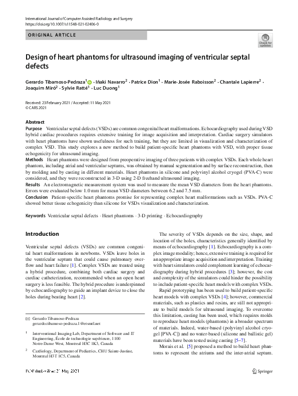 (PDF) Design of heart phantoms for ultrasound imaging of ventricular ...