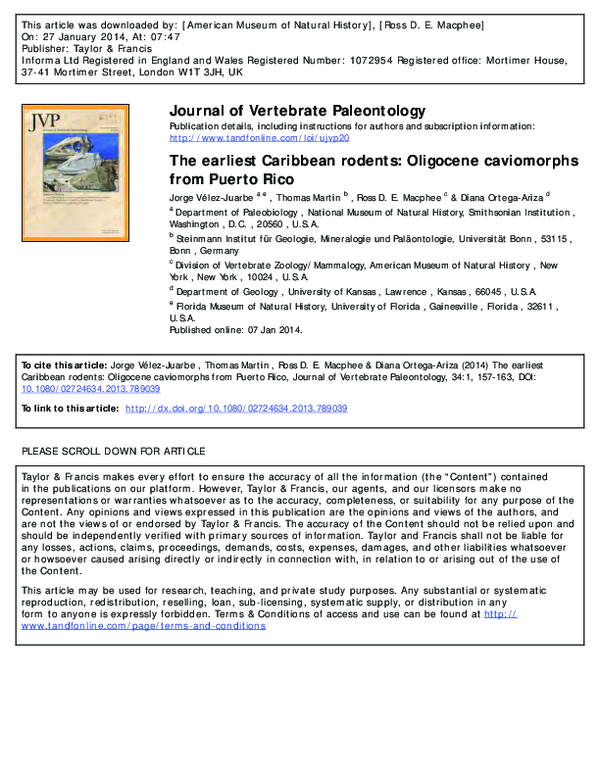 (PDF) The earliest Caribbean rodents: Oligocene caviomorphs from Puerto ...