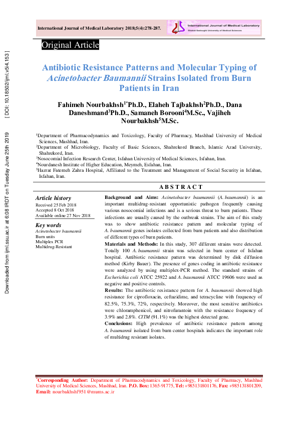 (PDF) Antibiotic Resistance Patterns and Molecular Typing of Acinetobacter Baumannii Strains ...