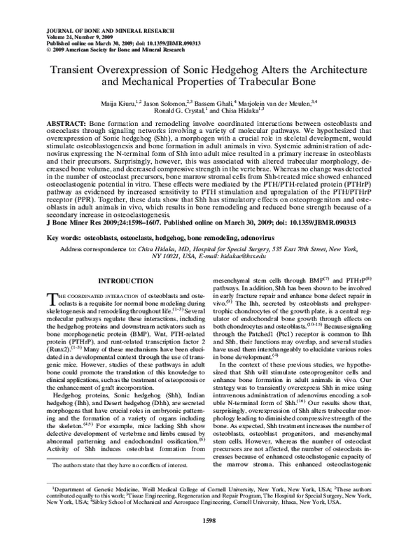 (PDF) Multiple object tracking using HSV color space