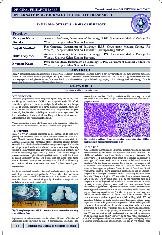 (PDF) From a Performance Measure to a Performance Evaluation Tool ...