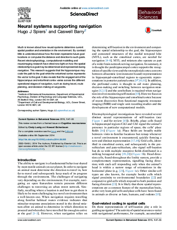 (PDF) Neural systems supporting navigation