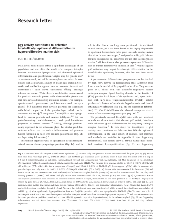 (PDF) P53 Activity Contributes to Defective Interfollicular Epidermal ...