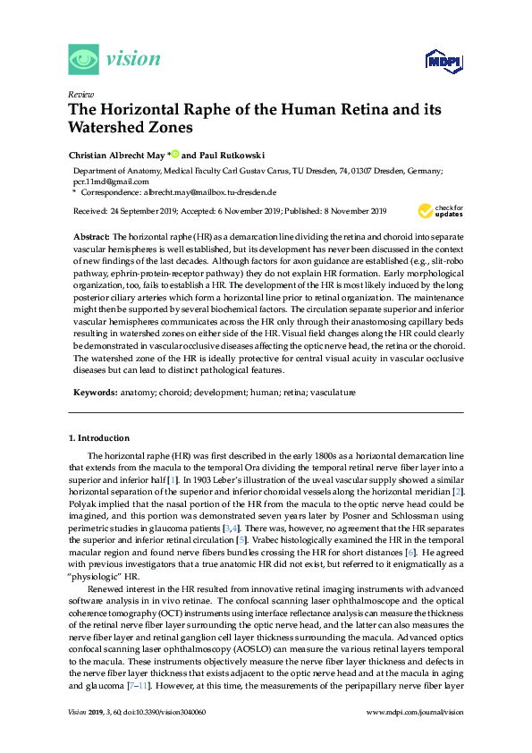 (PDF) The Horizontal Raphe of the Human Retina and its Watershed Zones