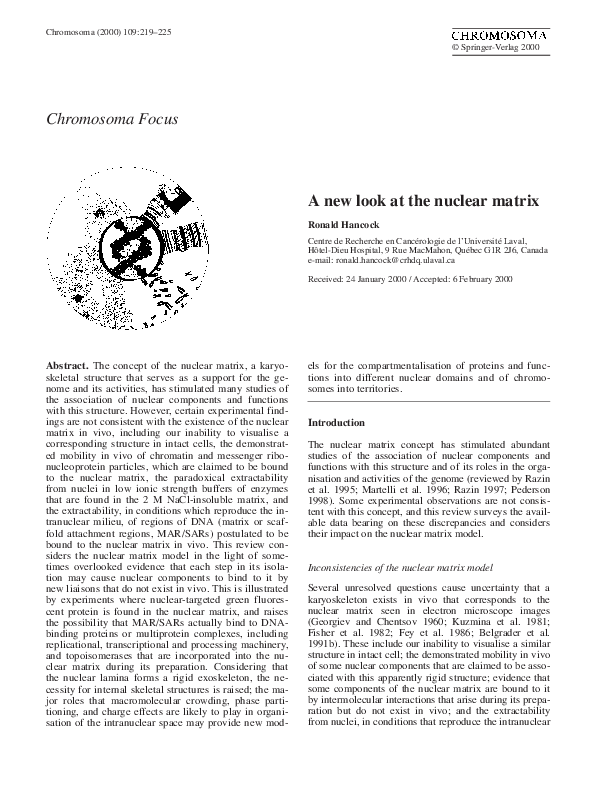 (PDF) A new look at the nuclear matrix