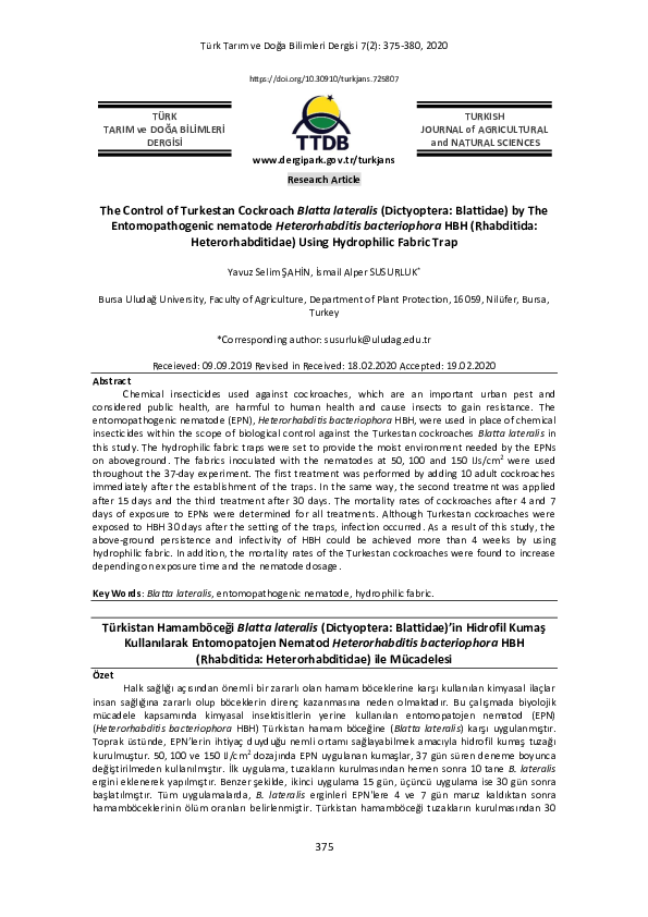 (PDF) Türkistan Hamamböceği Blatta lateralis (Dictyoptera: Blattidae ...