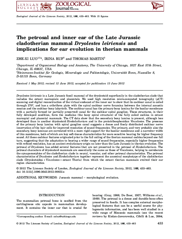 (PDF) The petrosal and inner ear of the Late Jurassic cladotherian ...