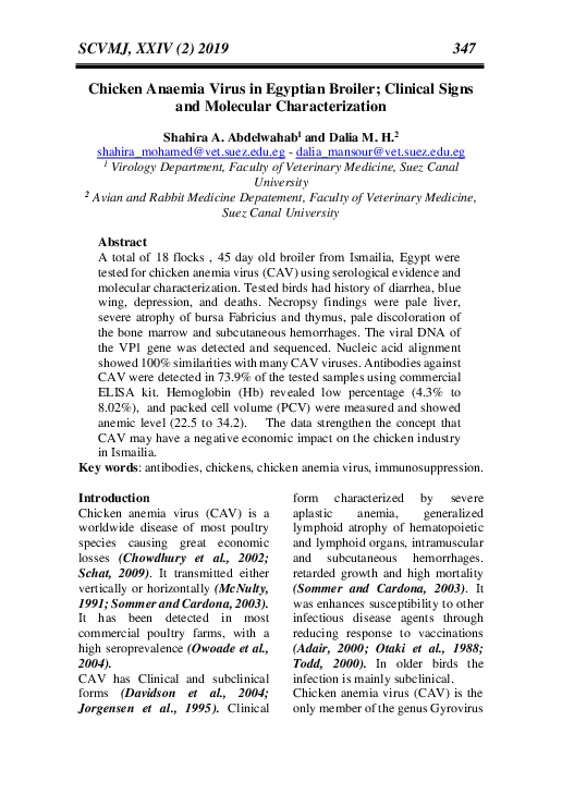 (PDF) Chicken Anaemia Virus in Egyptian Broiler; Clinical Signs and ...