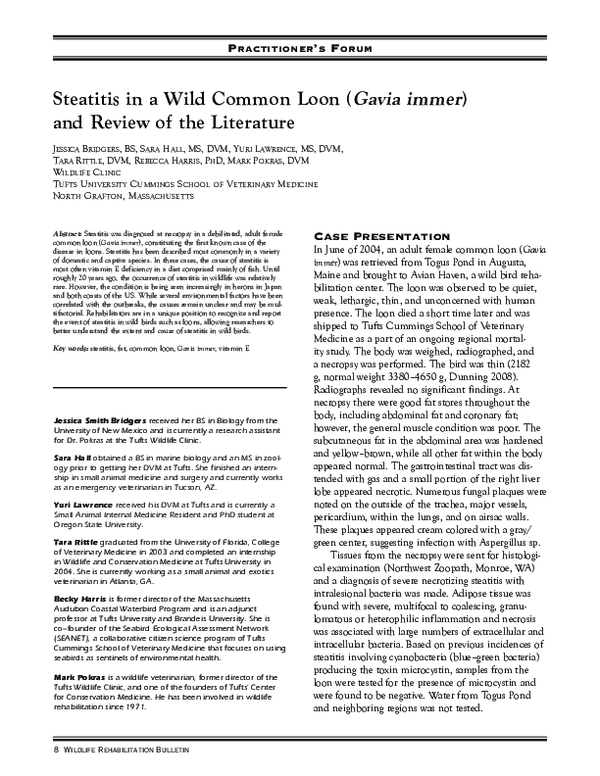 (PDF) Steatitis in a Wild Common Loon (Gavia immer) and Review of the ...