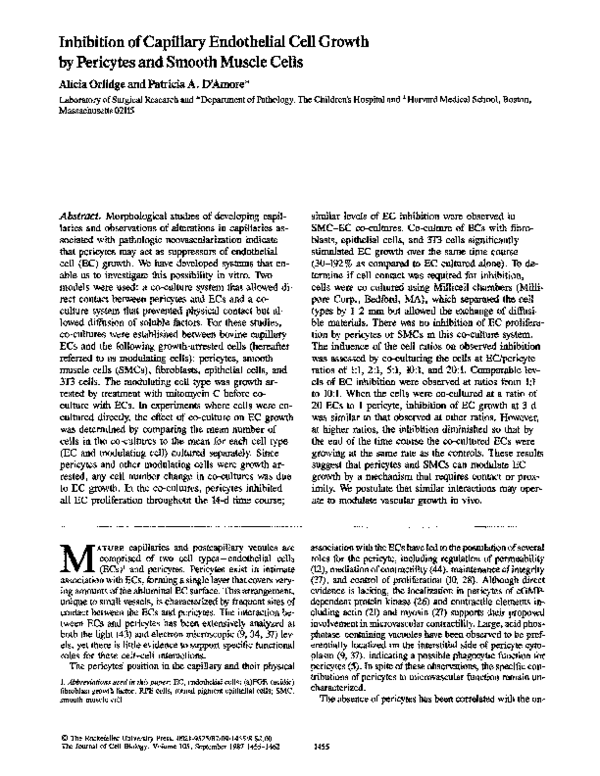 (PDF) Patterns and mechanisms of migration of light non-aqueous phase ...