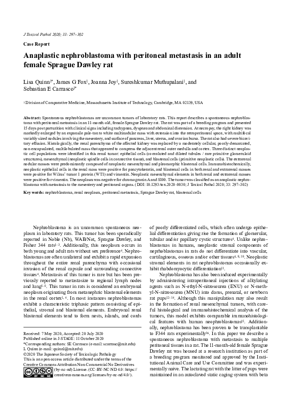 (PDF) Anaplastic nephroblastoma with peritoneal metastasis in an adult ...
