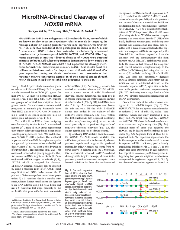 (PDF) MicroRNA-Directed Cleavage of HOXB8 mRNA | S. Yekta - Academia.edu