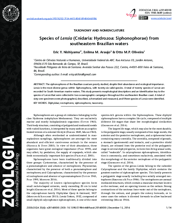 (PDF) Species of Lensia (Cnidaria: Hydrozoa: Siphonophorae) from ...
