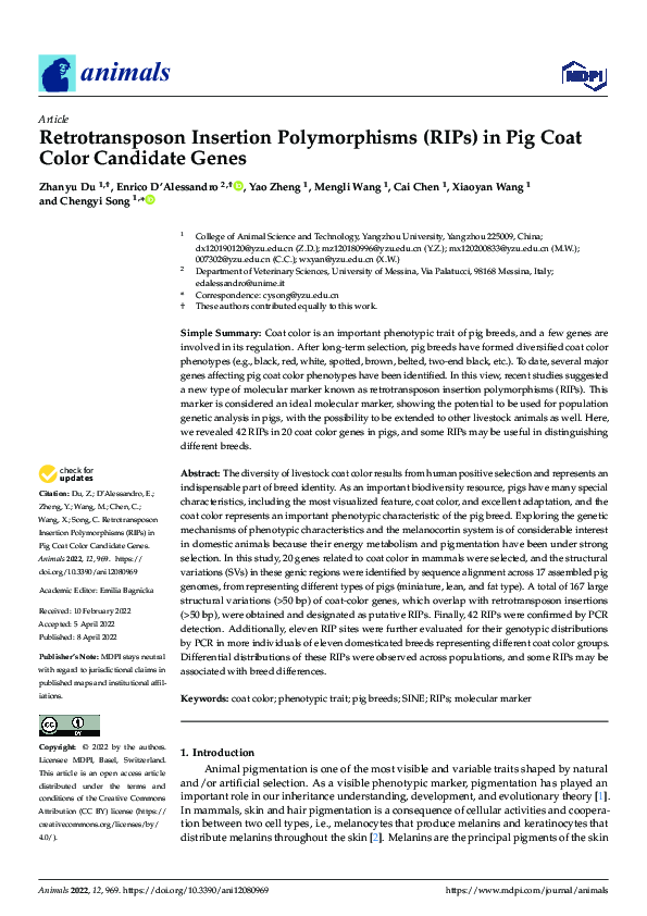 (PDF) Retrotransposon Insertion Polymorphisms (RIPs) in Pig Coat Color ...
