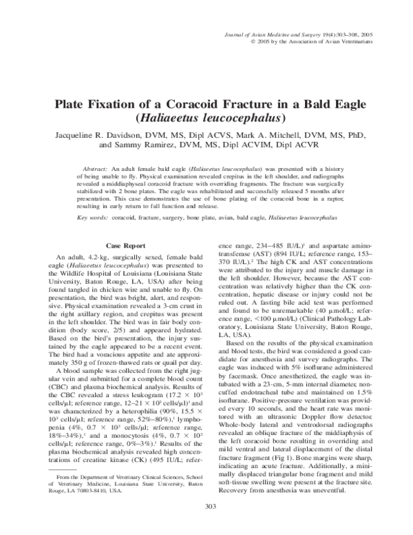 (PDF) Coracoid Fracture Repair in a Bald Eagle