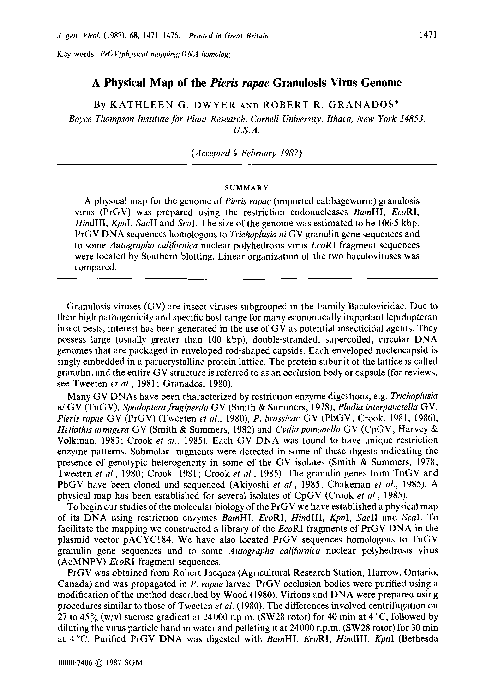 (PDF) A Physical Map of the Pieris rapae Granulosis Virus Genome