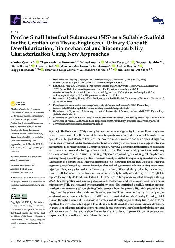 (PDF) Porcine Small Intestinal Submucosa (SIS) as a Suitable Scaffold ...