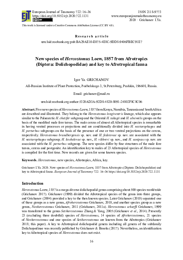 (PDF) New species of Hercostomus Loew, 1857 from Afrotropics (Diptera ...