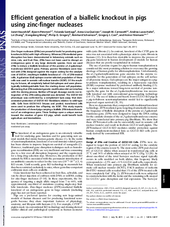 (PDF) Efficient generation of a biallelic knockout in pigs using zinc ...