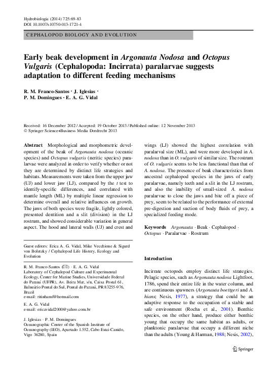 (PDF) Early beak development in Argonauta Nodosa and Octopus Vulgaris ...