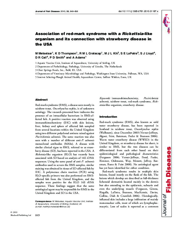 (PDF) Association of red-mark syndrome with a Rickettsia-like organism ...