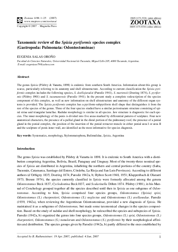 (PDF) Taxonomic review of the Spixia pyriformis species complex ...