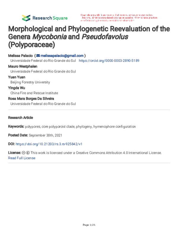 (PDF) Morphological and Phylogenetic Reevaluation of the Genera ...