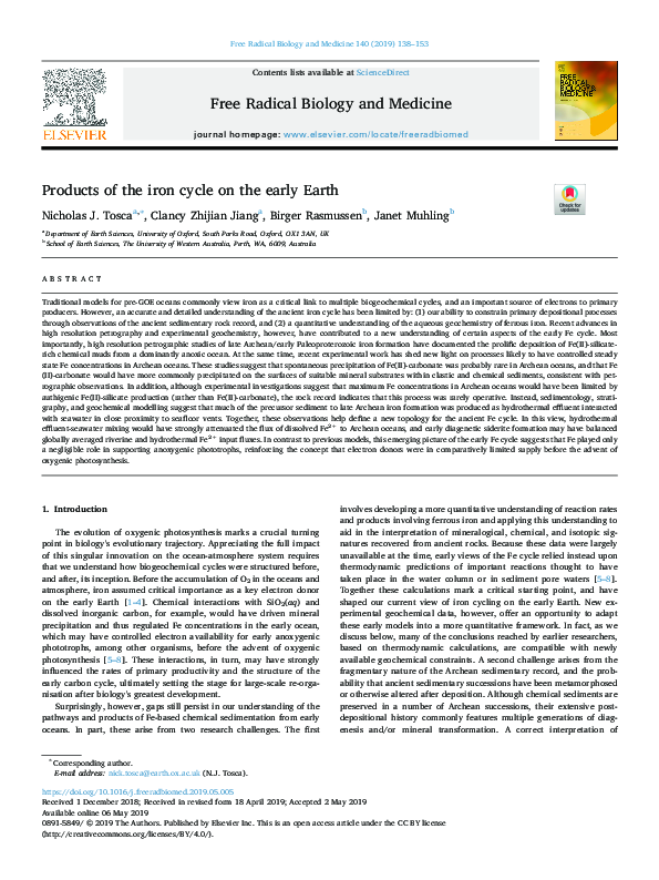 (PDF) Products of the iron cycle on the early Earth