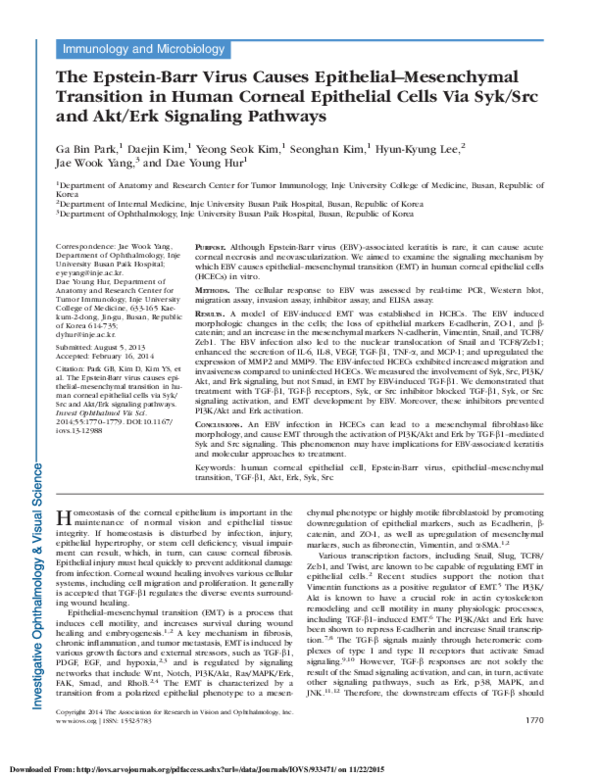(PDF) The Epstein-Barr Virus Causes Epithelial-Mesenchymal Transition ...